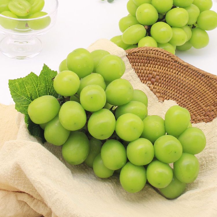 산지직송 고당도 망고포도 프리미엄 샤인머스캣 750g1송이 홈플러스 택배배송