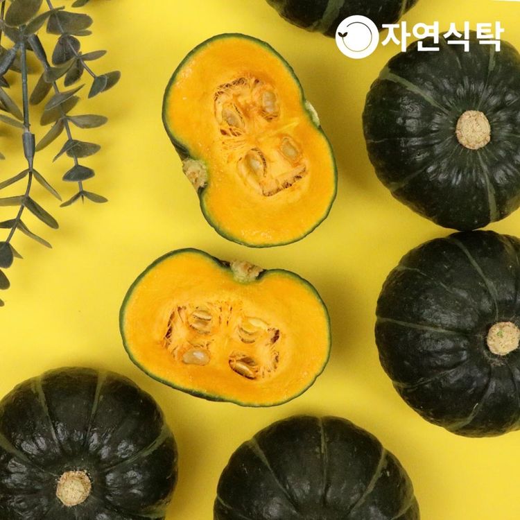 산지직송 제주 미니밤호박단호박 보우짱 45kg 로열사이즈8~15개입 홈플러스 택배배송