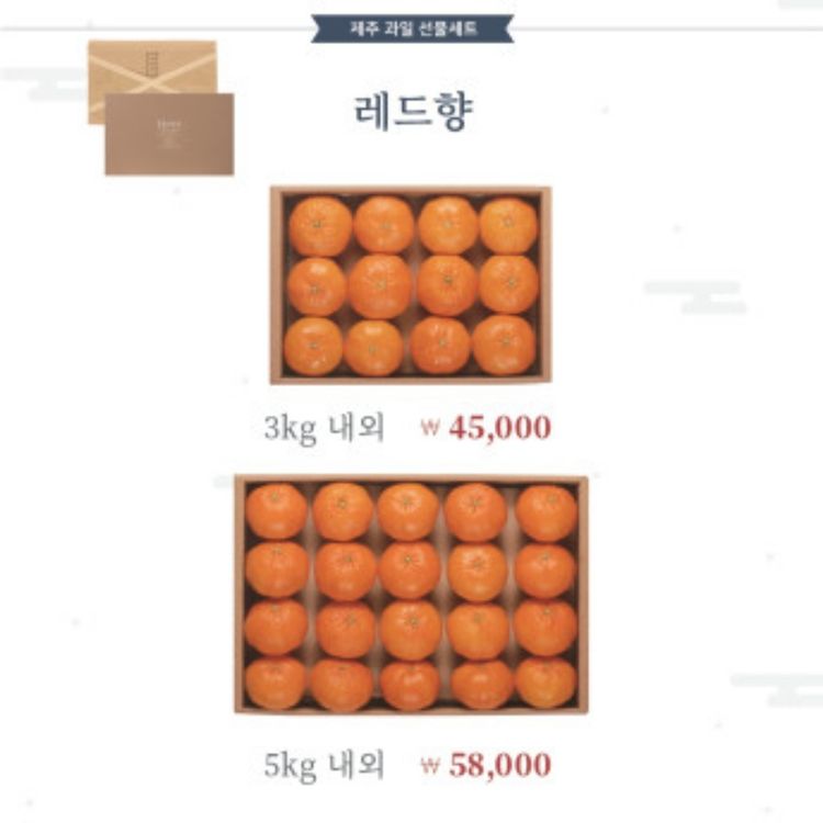 예약 설 명절 과일 선물세트 레드향 5kg 제주도 무릉외갓집 홈플러스 택배배송