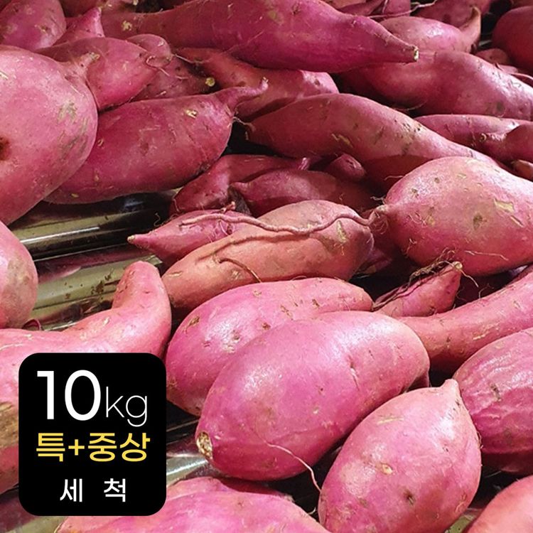 해남 햇 꿀고구마 베니하루카 제철간식 산지 직배송 특중상 혼합10kg세척 홈플러스 택배배송