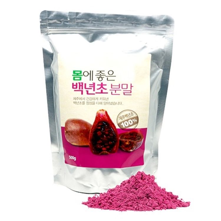 제주 백년초 분말 500g 2개 홈플러스 택배배송