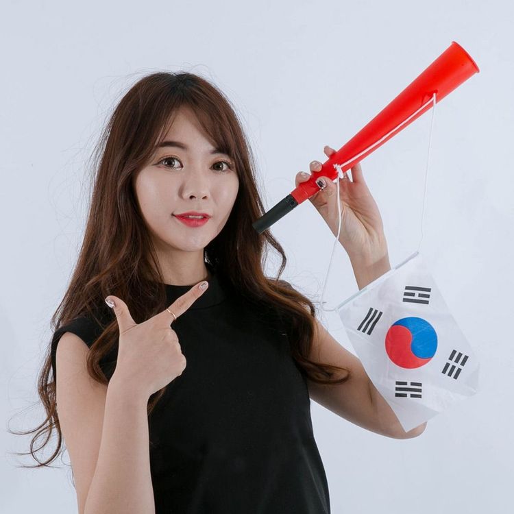 응원태극기나팔응원용품 응원도구 응원나팔 태극기 홈플러스 택배배송