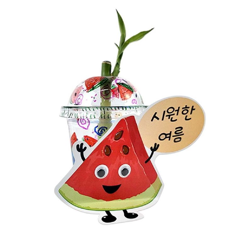 만들기대장수박 개운죽 화분만들기 5ea 홈플러스 택배배송