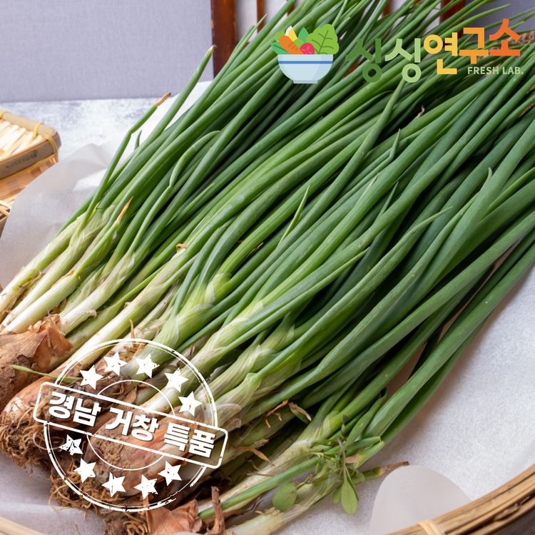 경남 거창 특품 3월 햇수확 흙쪽파 1kg 홈플러스 택배배송
