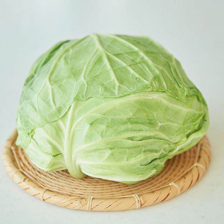 알뜰 국산 양배추 2통 16kg ~2kg 생 양배추 생채 속편한음식 반찬거리 양배추 즙 홈플러스 택배배송