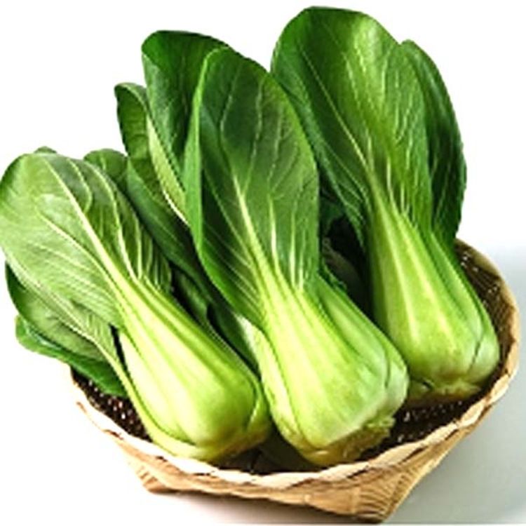 쌈채소 청경채 쌈채소 샐러드 샤브샤브 고기볶음용 2kg 홈플러스 택배배송