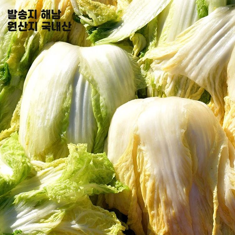 착한식탁 수령일선택가능 해남 절임배추 20kg 일요일월요일공휴일 익일 수령불가 홈플러스 판매자택배