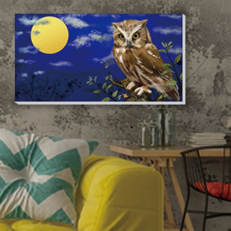 부엉이 N10845f0bbc 그림 풍수 달 행운 액자 그림드림 3owl 3055c 홈플러스 택배배송