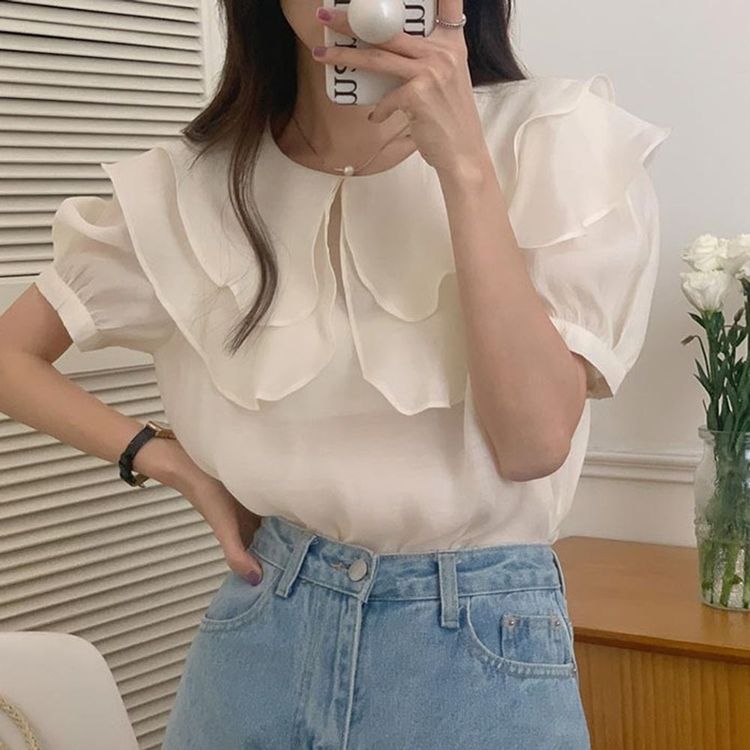 러블리 Nc224ac6d8a 시스루 빅카라 쉬폰 블라우스 홈플러스 택배배송