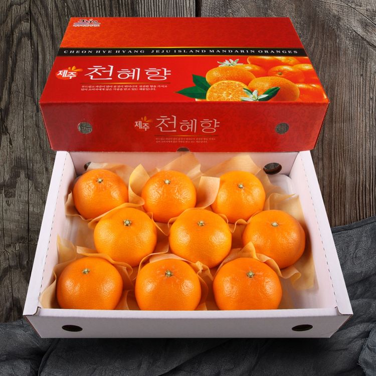 [올찬] 천혜향 선물세트(왕특대/특대) 3kg(8~13과) / 제주직송 | 홈플러스 택배배송