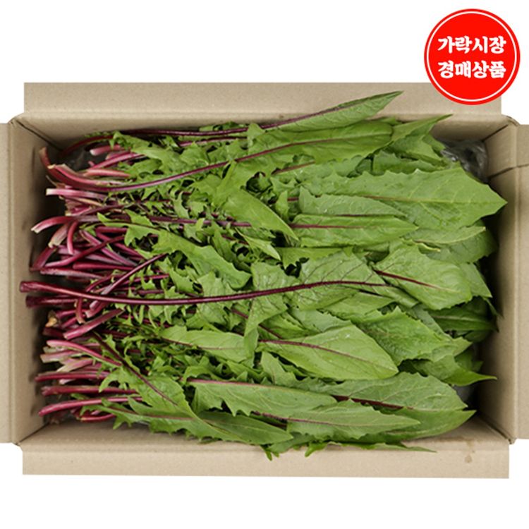 가락시장 경매 식자재 채소 적치커리 2kgbox 홈플러스 택배배송