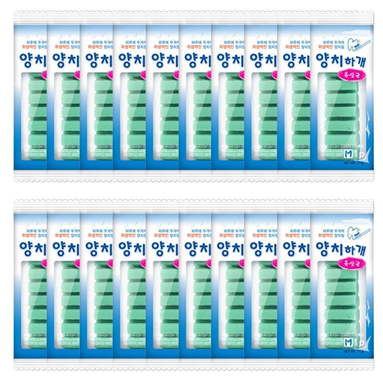 강아지 양치껌 유산균 20p 반려견 입냄새 치석관리 홈플러스 택배배송