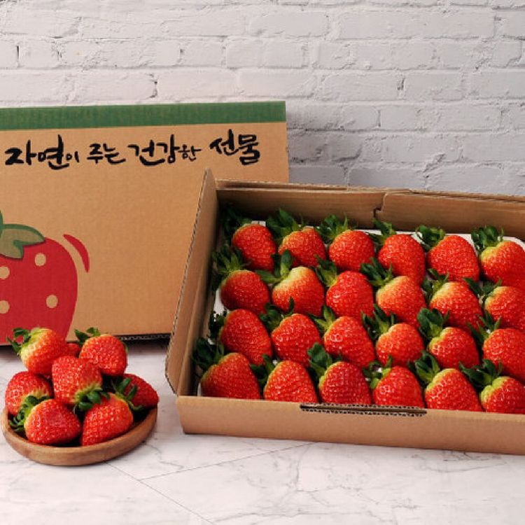 푸토리 Gap인증 달콤한 설향 딸기 특800g 홈플러스 택배배송