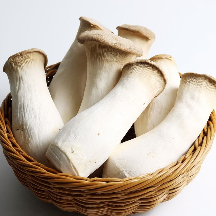 Gap인증 무농약 함평 새송이버섯 2kg 특 홈플러스 택배배송