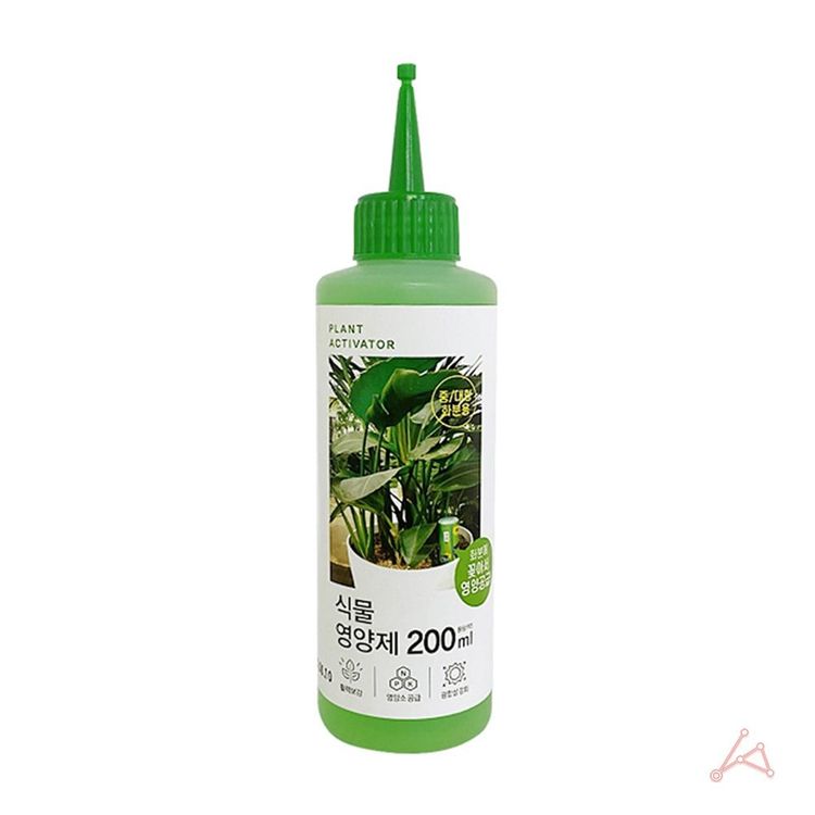 뿌리 활력 식물영양제200ml 홈플러스 택배배송