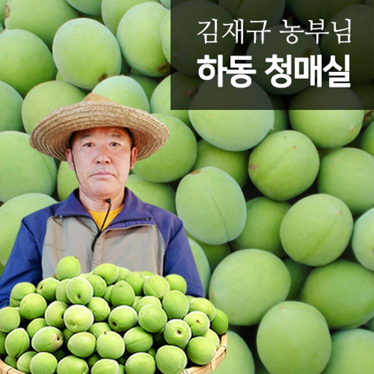 5월말 출고 참다올 산지직송 김재규농부의 하동청매실 5kg왕특36 38mm1번과 홈플러스 택배배송