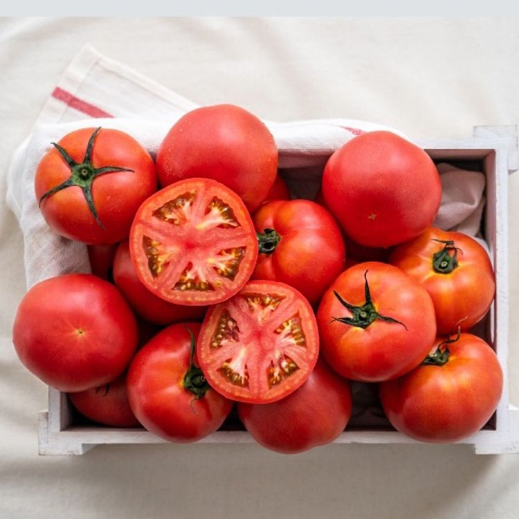 남도장터 바른팜 찰 토마토 3kg 소과 홈플러스 택배배송