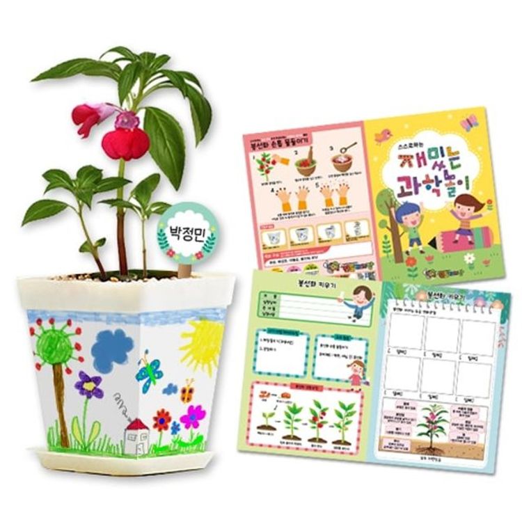 만들기대장 봉선화 화분 꾸며만들기관찰기록지포함 홈플러스 택배배송