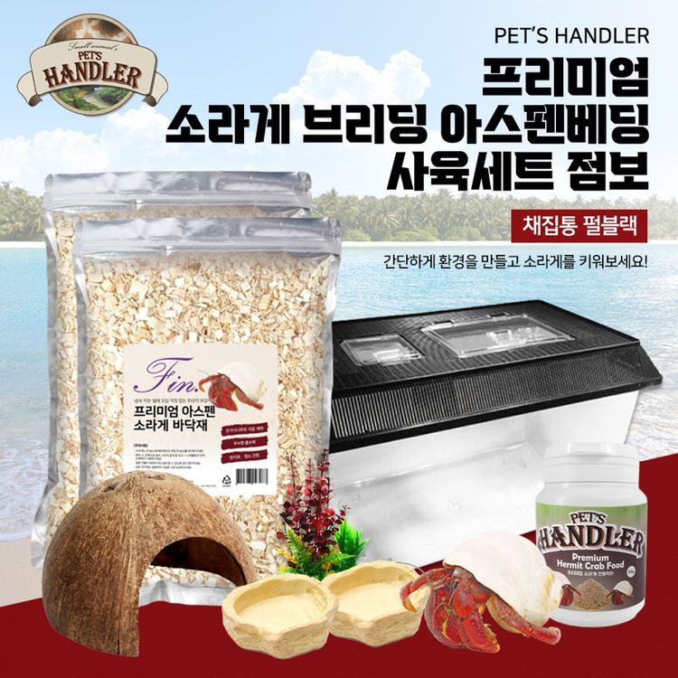 펫츠핸들러 프리미엄 소라게 브리딩 아스펜베딩 사육세트 점보 펄블랙 홈플러스 택배배송
