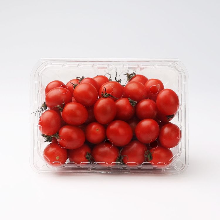 과일愛 오늘의 과일 대추 방울토마토 500g 홈플러스 택배배송