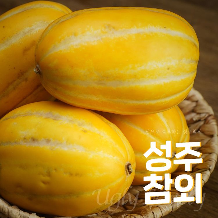 월항농협산지직송 못생겼지만 달콤한 성주 월항 참외 2kg 홈플러스 택배배송