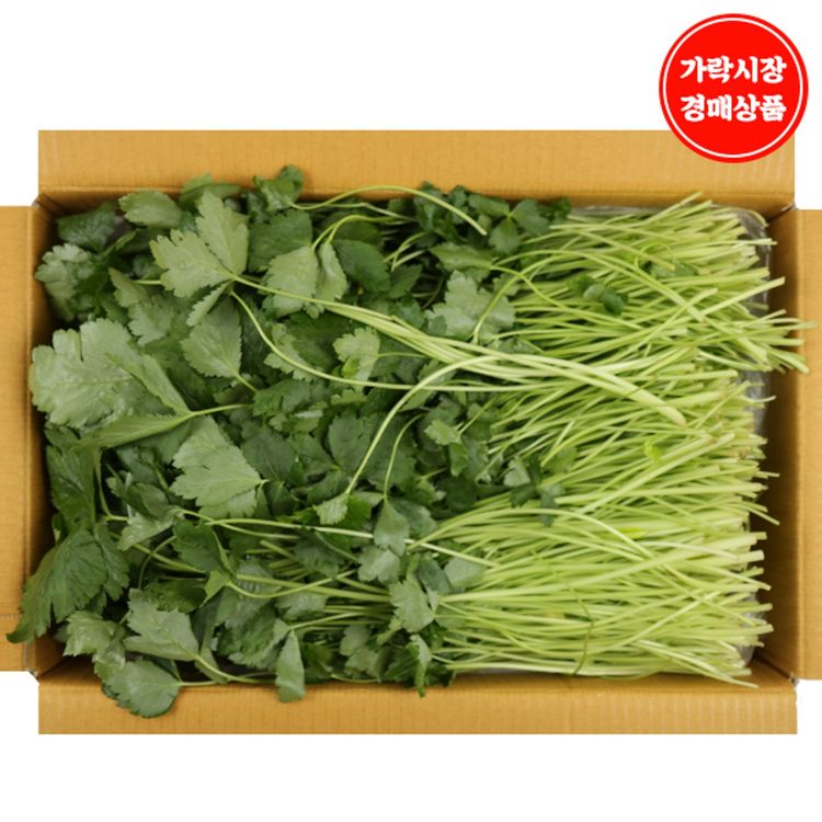 가락시장 경매 식자재 채소 참나물 4kgbox 홈플러스 택배배송