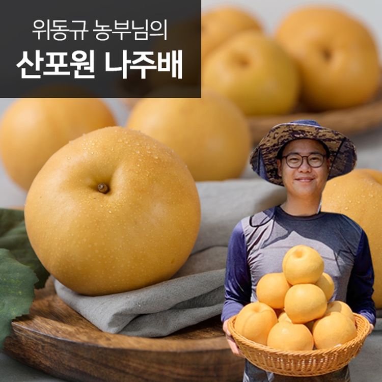참다올 2대 나주배농가 위동규농부의 Gap 배 15kg 16 20과 홈플러스 택배배송