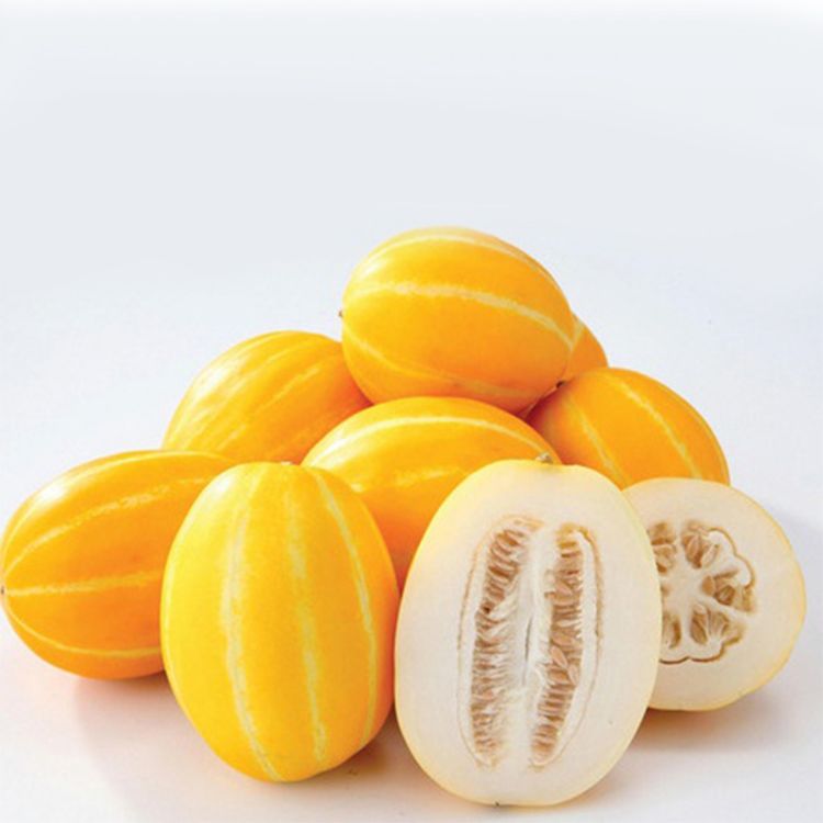 생산자직송 성주참외 5kg 실속형못난이 홈플러스 택배배송