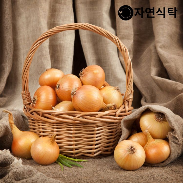 산지직송 22년산 단단하고 품질좋은 경상도 햇양파 10kg 특 홈플러스 택배배송