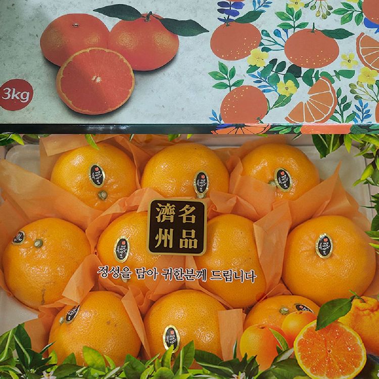 제주 천혜향 선물세트 3kg 9~13과 보자기 천헤향 제주도 천혜향 택배 부모님 설선물 홈플러스 택배배송