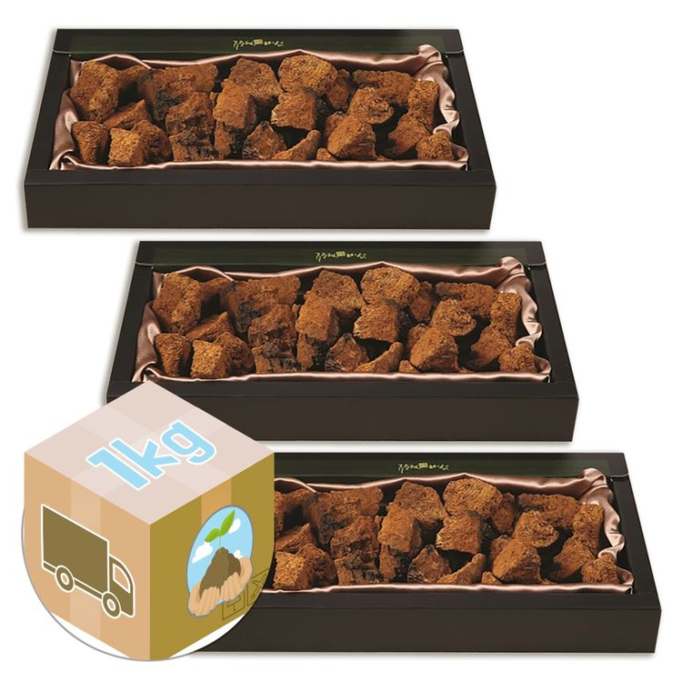 류충현장인 러시아 자연산 차가버섯 먹는법 건재 원물 선물용 3kg 홈플러스 택배배송