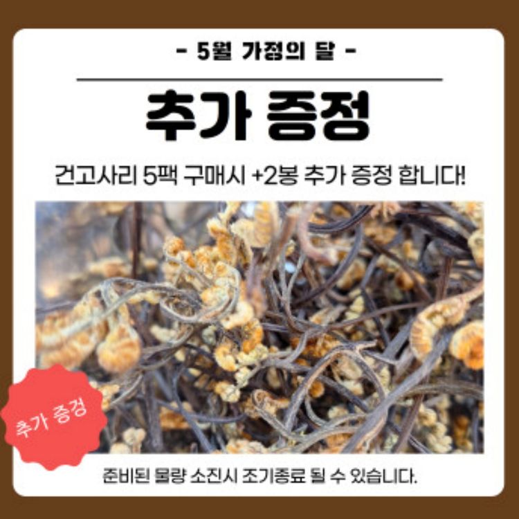 제주 제주도 2024년 첫 고사리 제주도 햇고사리 무릉외갓집 홈플러스 택배배송