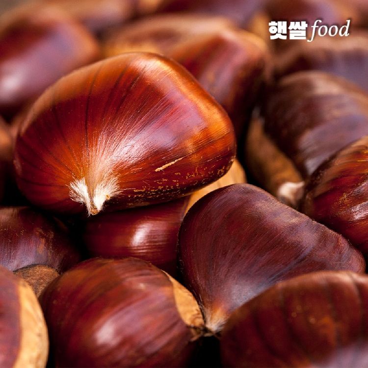 햇쌀푸드 국내산 부여햇밤 대 5kg 알밤 생밤 단밤 홈플러스 택배배송