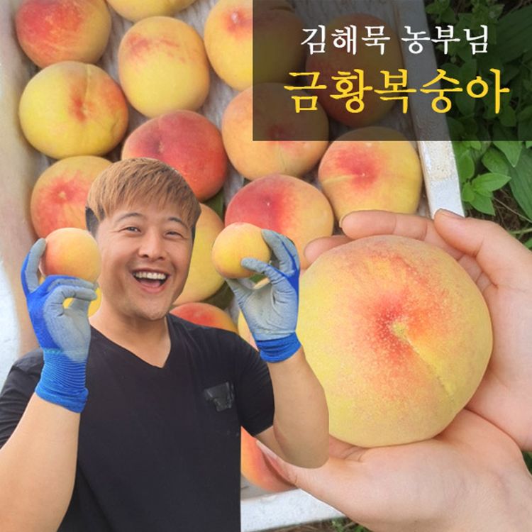 6월말부터 출고 참다올 산지직송 예천 금황 복숭아 25kg12과내외 홈플러스 택배배송