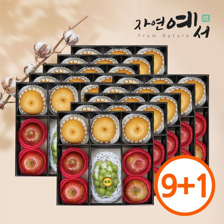 초록자연 명품 혼합 1호 과일선물세트10개입 홈플러스 택배배송