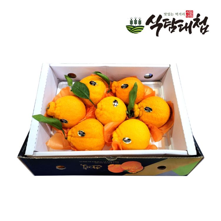 식탐대첩 프리미엄 제주 한라봉 대과 3kg 7~9과 홈플러스 택배배송