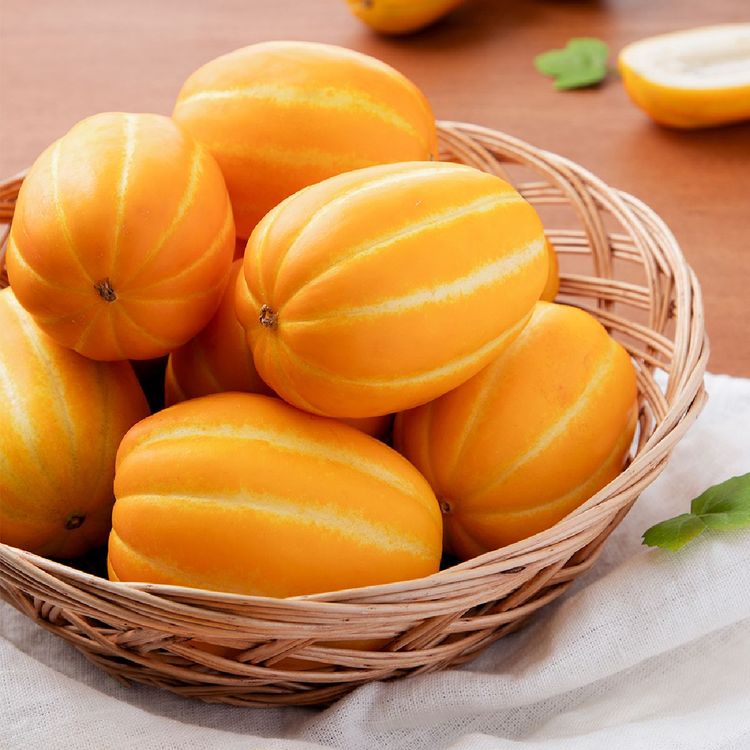 고당도 성주 가정용 참외 3kg 소과 10 16과 홈플러스 택배배송