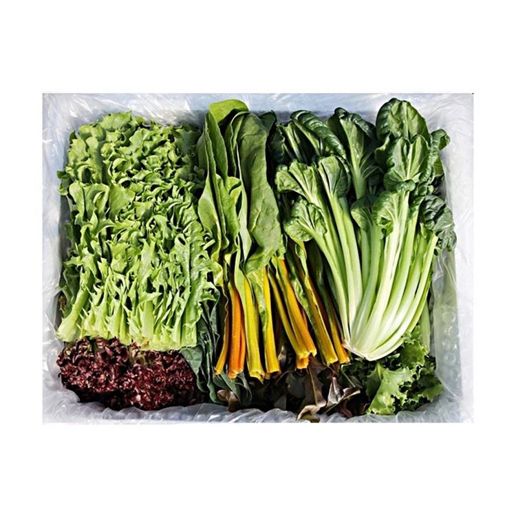 Gap인증 당일수확 모듬 샐러드채소 1kg 홈플러스 택배배송