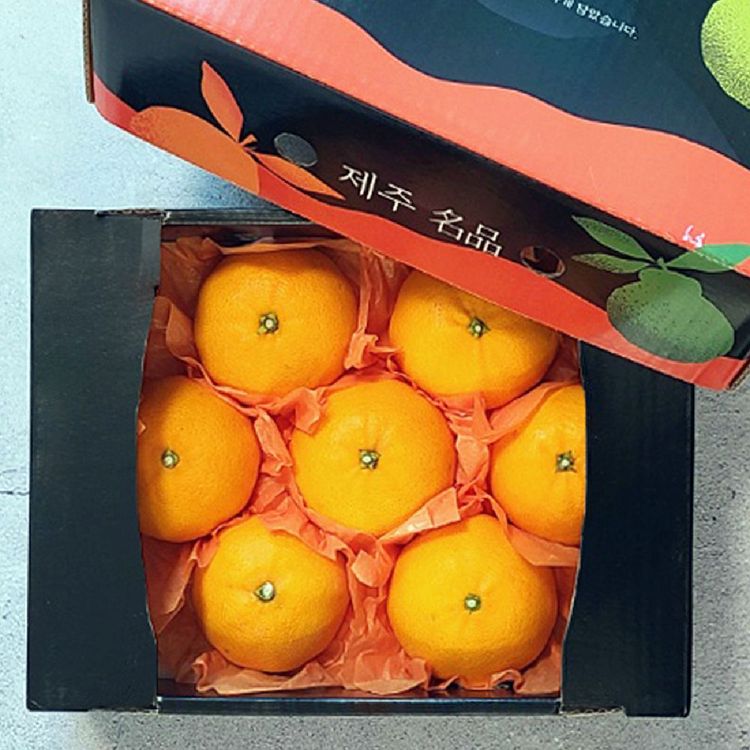 명품 제주 천혜향 선물세트 15kg 10~12과 소과 제주 천헤향 제주도 천혜향 택배 상 홈플러스 택배배송