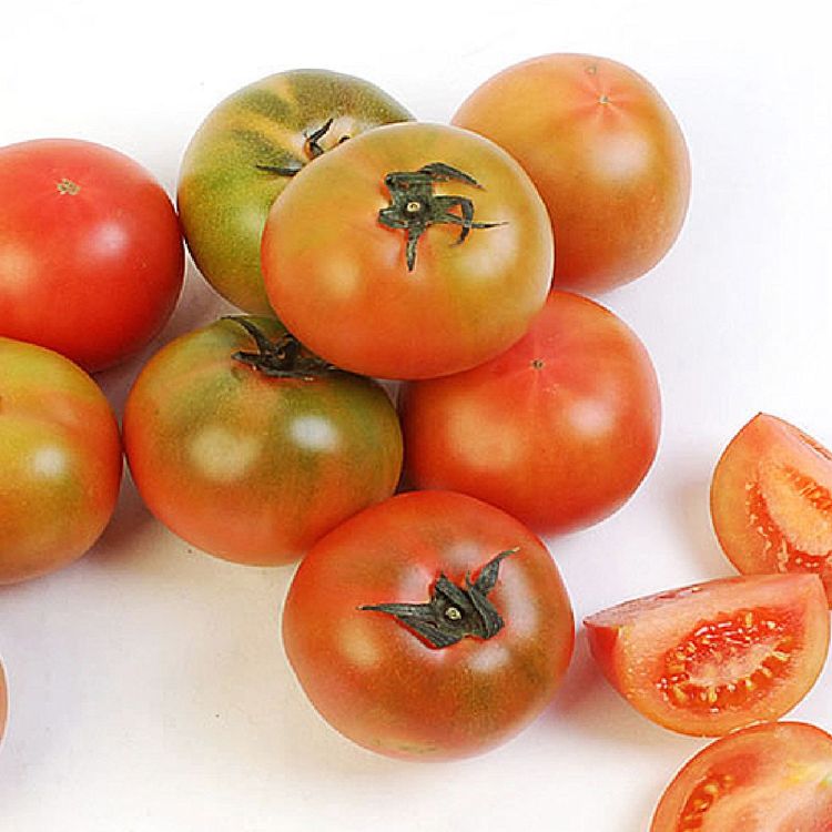 [푸토리] 단짠단짠 대저토마토 2.5kg(2S) | 홈플러스 택배배송