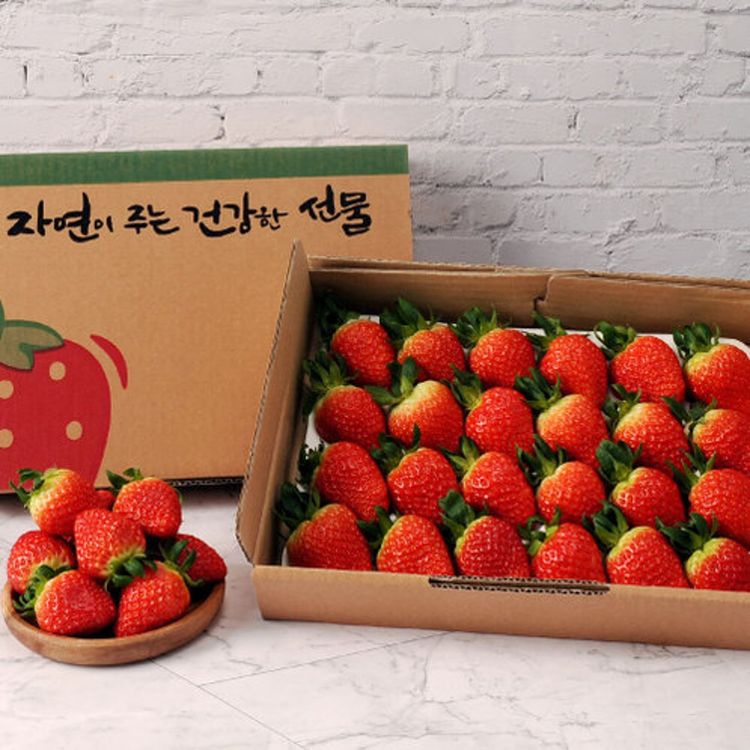 푸토리 Gap인증 달콤한 설향 딸기 특800g 홈플러스 택배배송