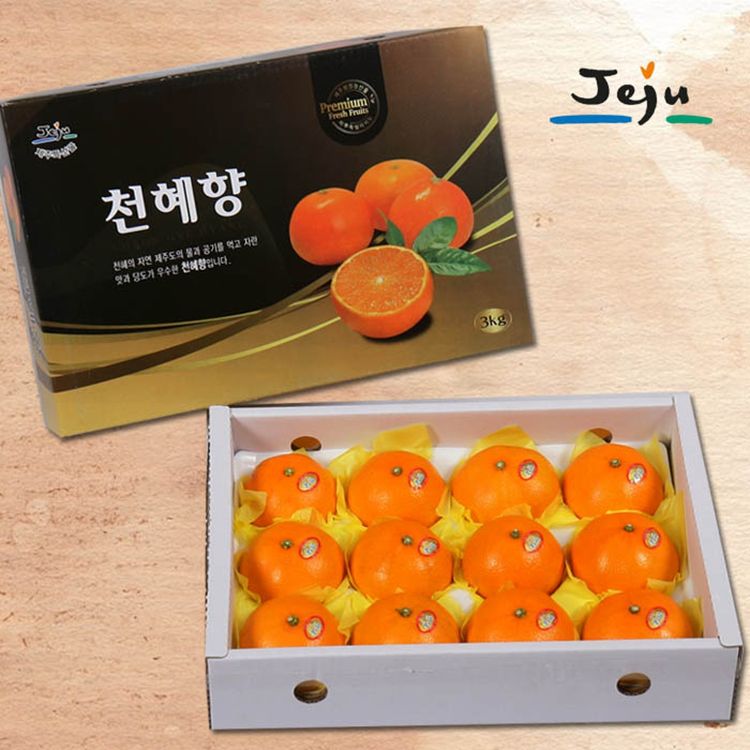 [푸토리] 제주마을 천혜향 세트 3kg(7~11과) | 홈플러스 택배배송