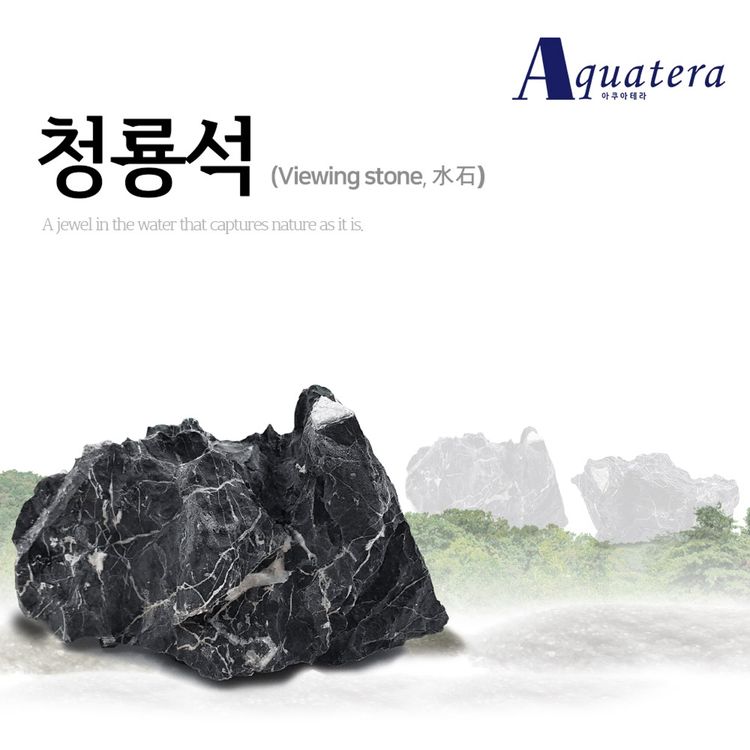 아쿠아테라 수족관 어항장식 청룡석 5kg 랜덤 홈플러스 택배배송