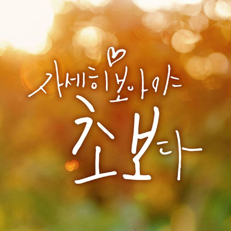 자세히보아야 N817349e162 초보다 초보자동차스티커 반사 홈플러스 택배배송