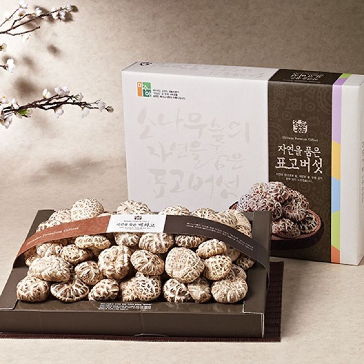 강원도 설악산 마수아 백화고 세트 2호 500g 버섯 표고버섯 표고버섯세트 명절선물세트 거 홈플러스 택배배송