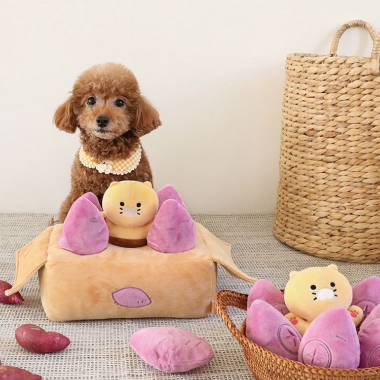 바보사랑 카카오프렌즈 춘식이 인형 강아지노즈워크 고구마상자 노즈워크장난감 간식장난감 홈플러스 택배배송