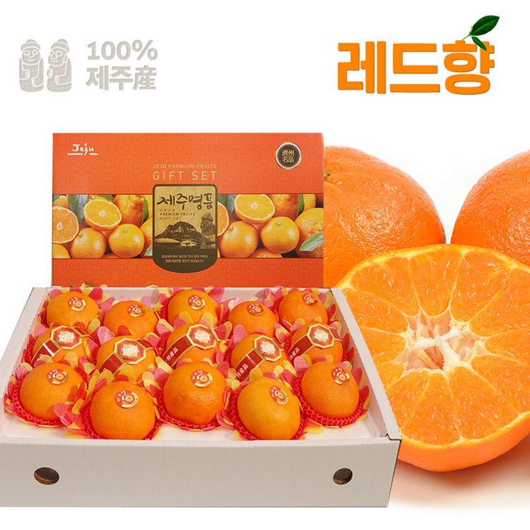 제주고씨네 제주직송 고급 레드향 선물세트 3kg15수 홈플러스 택배배송