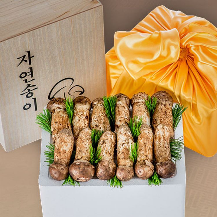 국내산 송이버섯 선물세트 국내산 냉동 능이버섯1kg 홈플러스 판매자택배