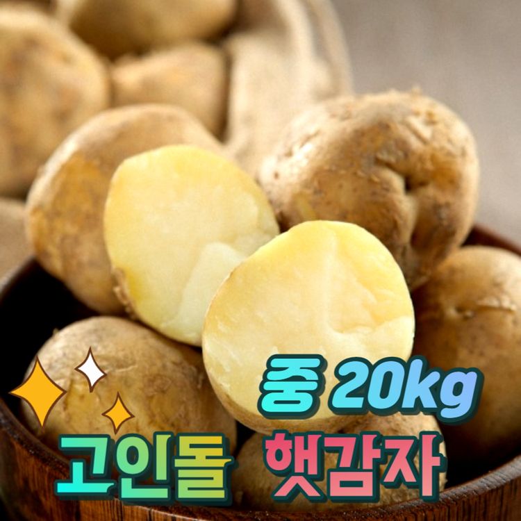 고인돌 햇감자 조림용 알감자 중 감자20kg 홈플러스 택배배송