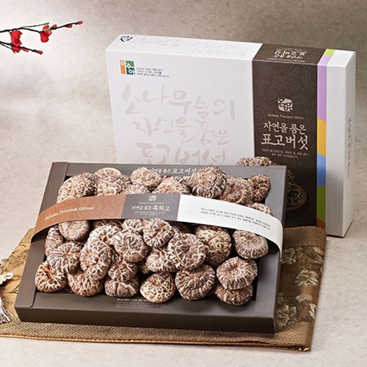 강원도 설악산 마수아 혼합 버섯세트 6호 홈플러스 택배배송